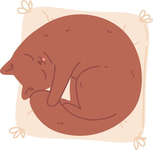 Cat Top View Vector Images (over 570)