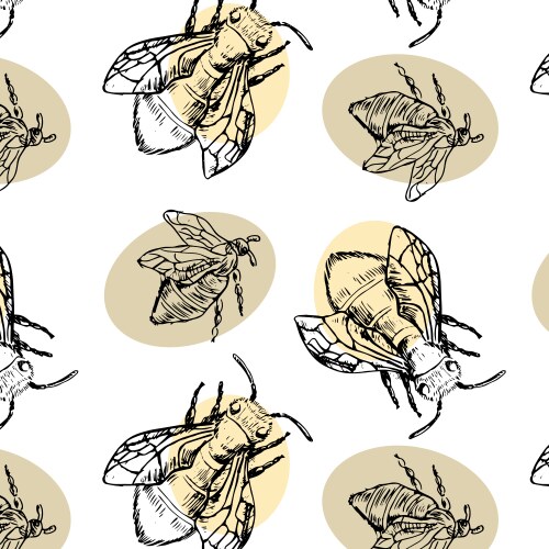 Honey bee flying sketch vintage drawing outline Vector Image
