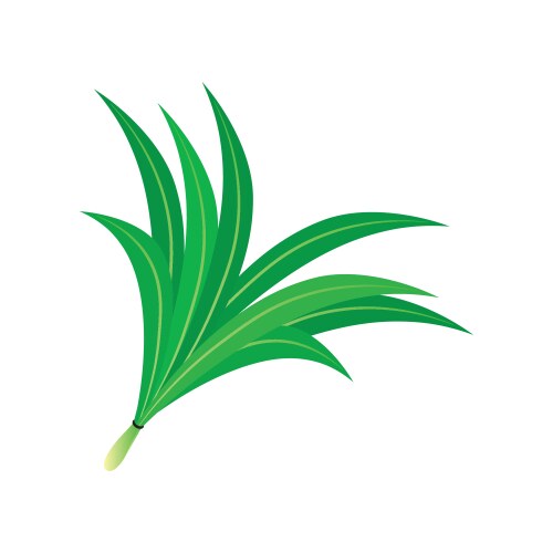 Pandan Leaf Vector Images (99) Pandan Leaf Vector Images (99)