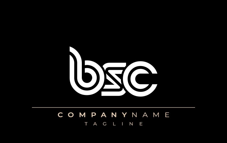 Bsc It Logo