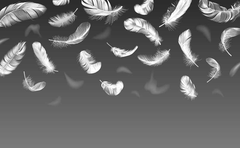 Realistic feathers white bird falling feather Vector Image