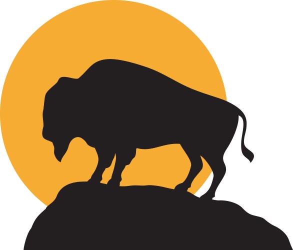 African Buffalo Head Silhouette African Buffalo Silhouette Vector