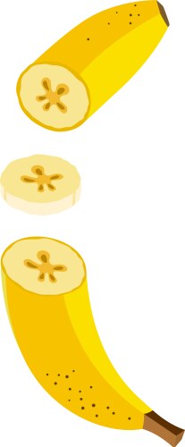 Fruit Cut in Half Banana Vector Images (over 840)