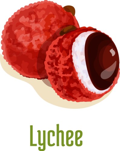 Lychee Vector Images (over 3,400)