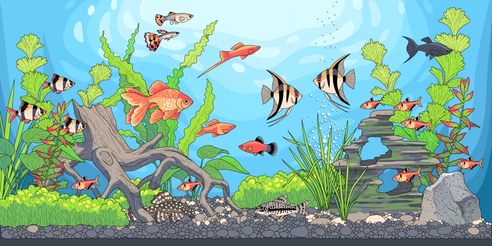 Rectangular glass aquarium Royalty Free Vector Image