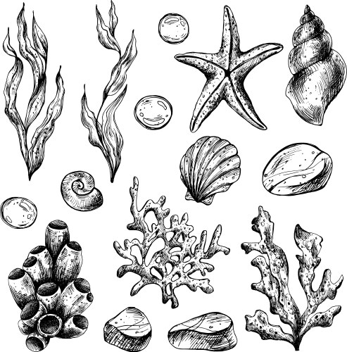 Underwater world clipart with sea animals coral Vector Image