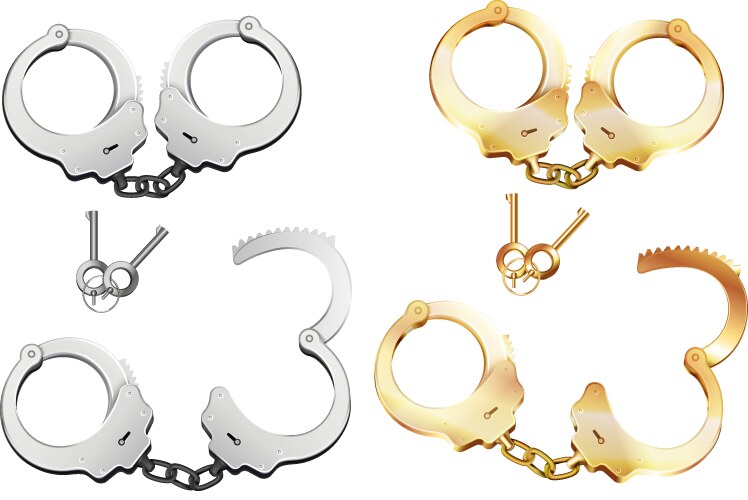 Carabiner clasps metal Royalty Free Vector Image