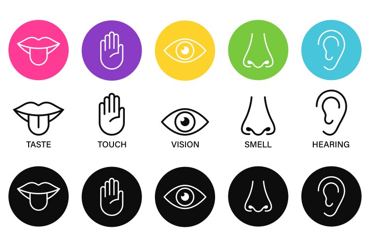 Cartoon Five Senses Vector Images (over 570)