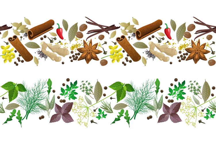 Seamless borders with various herbs and spices Vector Image