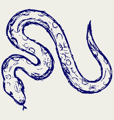 Snake Outline Vector Images (over 8,100)