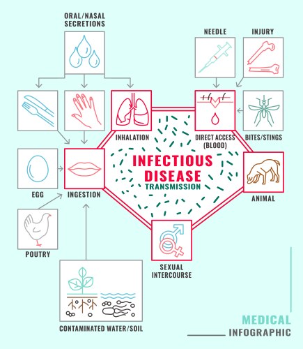 Disease transmission infographics Royalty Free Vector Image