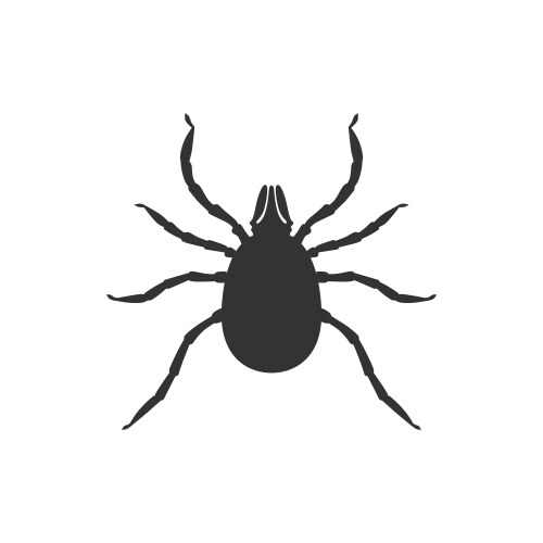 No spiders Royalty Free Vector Image - VectorStock