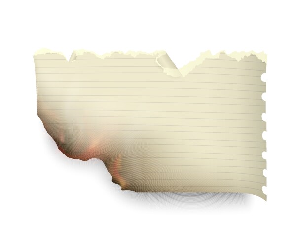 Realistic burning paper in fire flames Royalty Free Vector