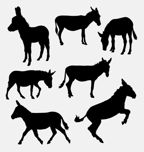 Donkey Black and White Vector Images (over 5,900)