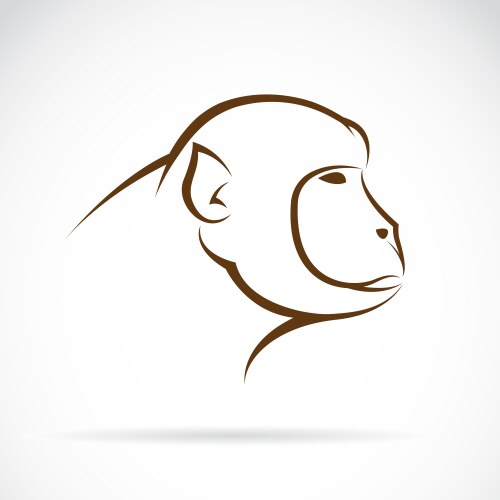 Monkey Vector Images (over 73,000)