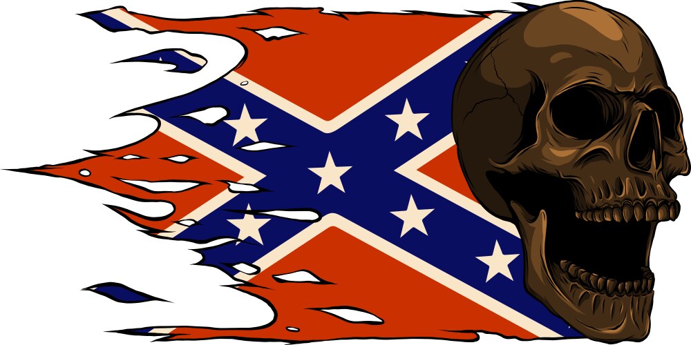 Human skull with confederation flag isolated Vector Image