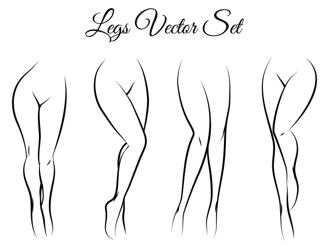 Leg Outline Vector Images (over 35,000)