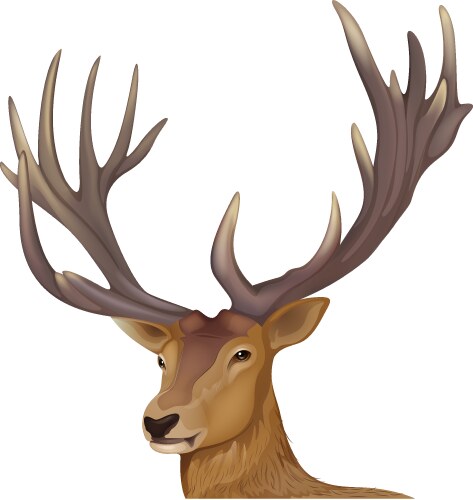 Cartoon deer animal Royalty Free Vector Image - VectorStock