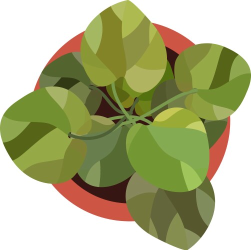 Top view plants easy copy paste in your landscape Vector Image
