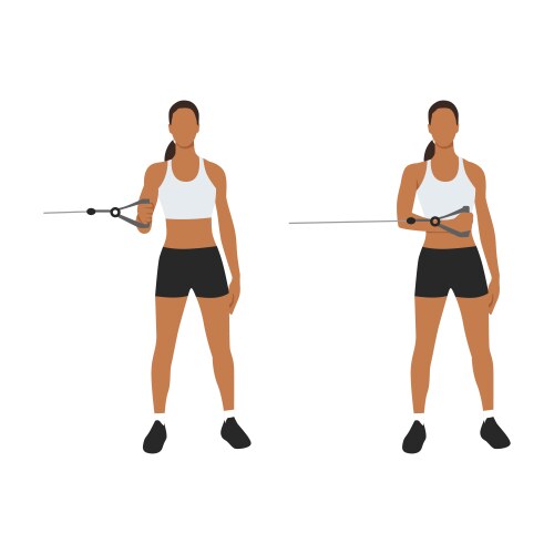 Woman doing external cable shoulder rotations Vector Image