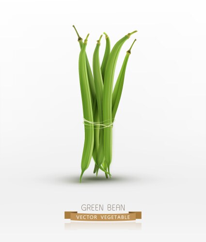 Green Beans Vector Images (over 15,000)