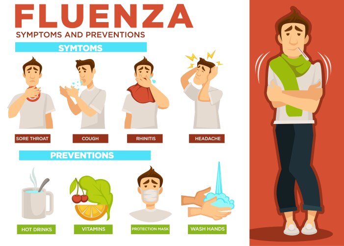 Information poster seasonal flu symptoms Vector Image