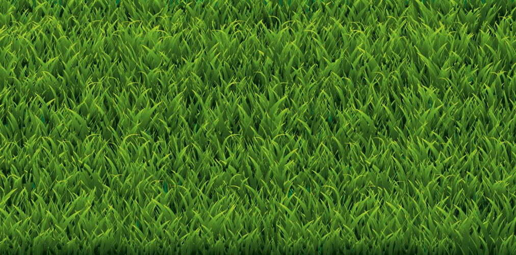 Green grass realistic set Royalty Free Vector Image