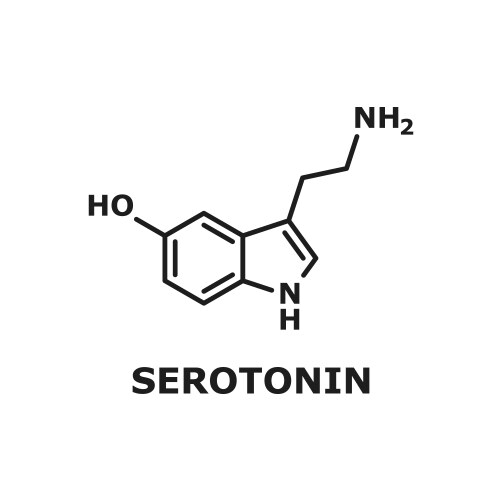 Serotonin molecular structure Royalty Free Vector Image