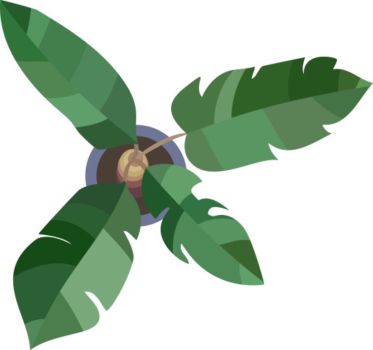 Palm Top View Vector Images (over 2,100)