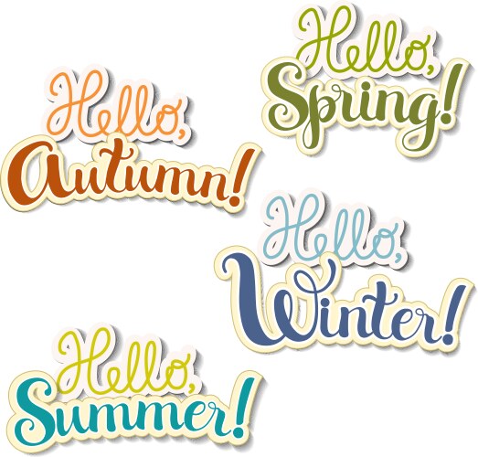 Colorful custom lettering of the days week Vector Image