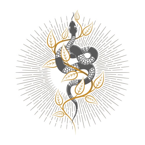 Alchemy Symbol Hermetic Vector Images (over 370)