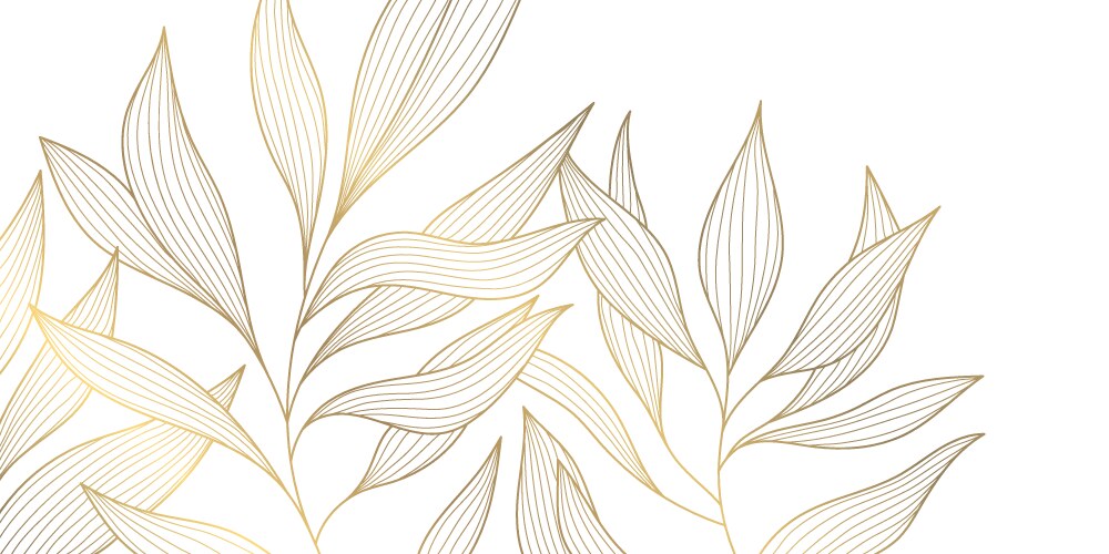 Boho Outline Floral Vector Images (over 12,000)