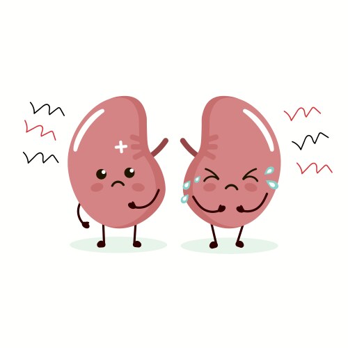 Kidney Emoji Vector Images (over 160)
