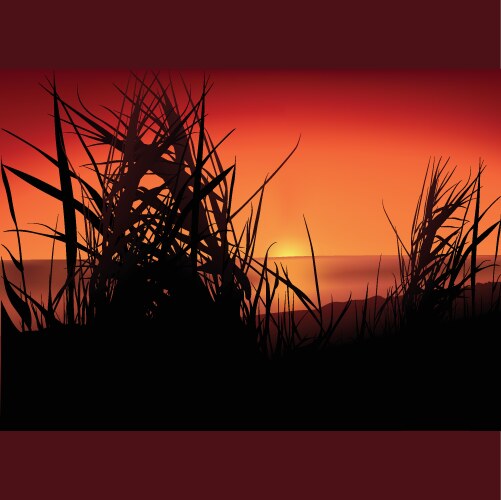 Lake Sunset Vector Images Within Landscapes Nature Over 10 000