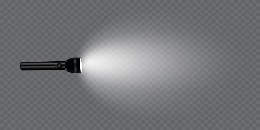 Flashlight on a transparent background shine Vector Image