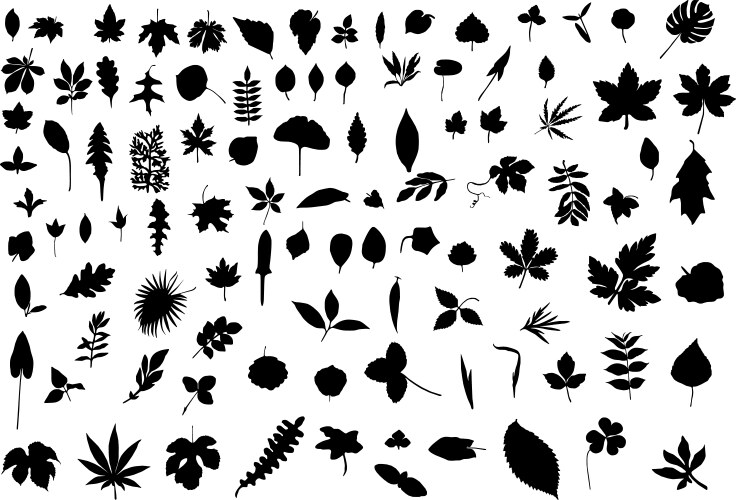Leaves Vector Images (over 760,000)