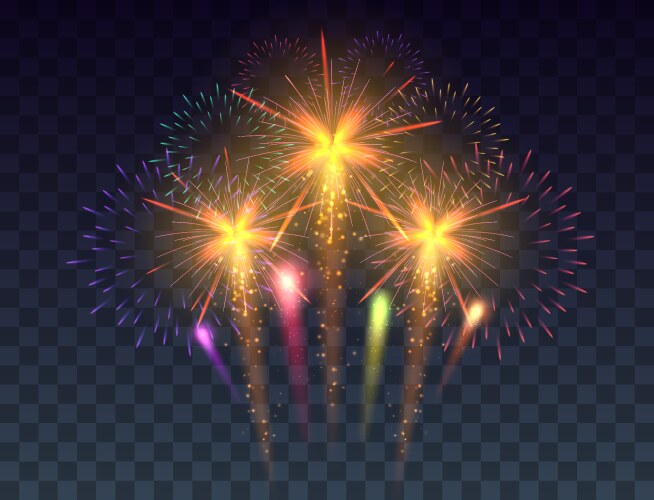 Firework on transparent background Royalty Free Vector Image