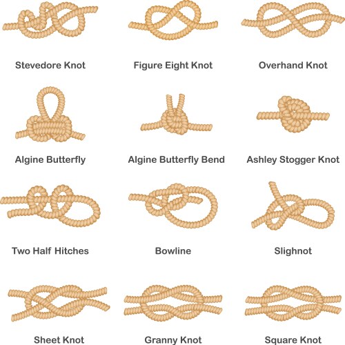 Nautical decorative rope knots set with names Vector Image