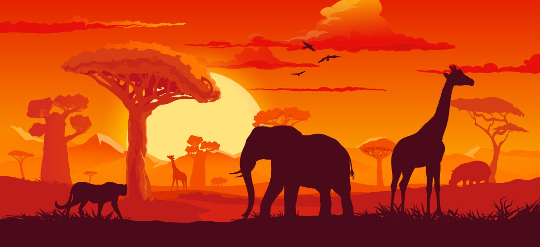 African Sunset Savannah Royalty Free Vector Image