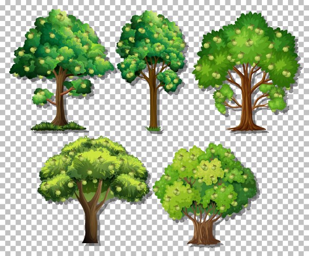 Set of simple tree Royalty Free Vector Image - VectorStock