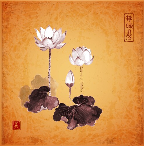 Japanese hieroglyph lotus ren - symbol of purity Vector Image