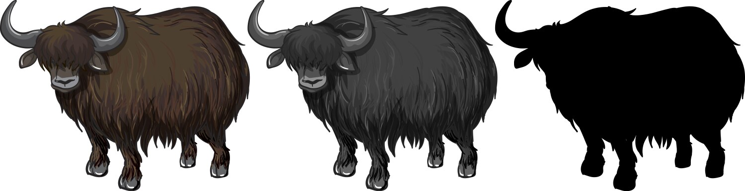Yak Vector Images (over 2,400)