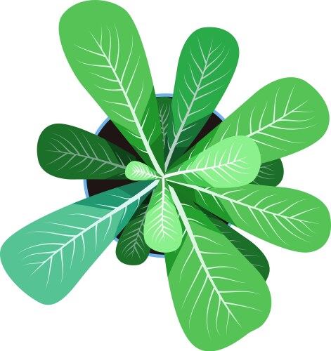 Top view plants easy copy paste in your landscape Vector Image