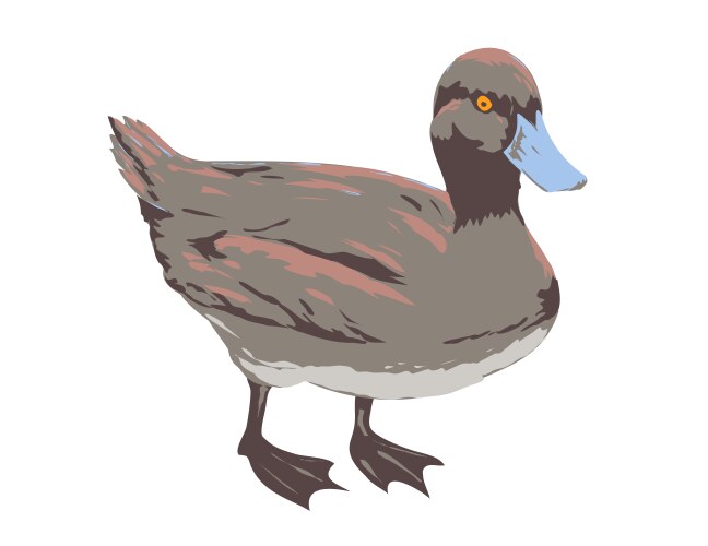 Duck Side View Vector Images (over 250)