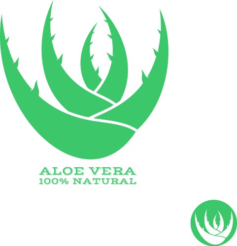 Aloe vera flower Royalty Free Vector Image - VectorStock