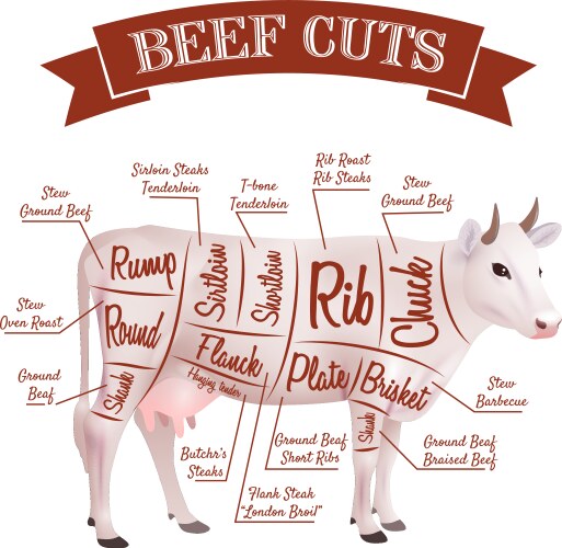 Beef Cuts Vector Images (over 16,000)