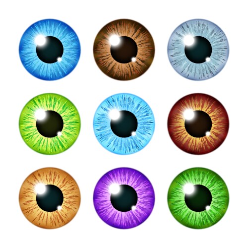 Iris Vector Images (over 25,000)