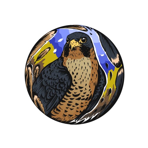 Falcon Art Vector Images (over 14,000)
