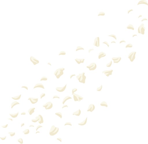 Cherry blossom petals falling flower Royalty Free Vector