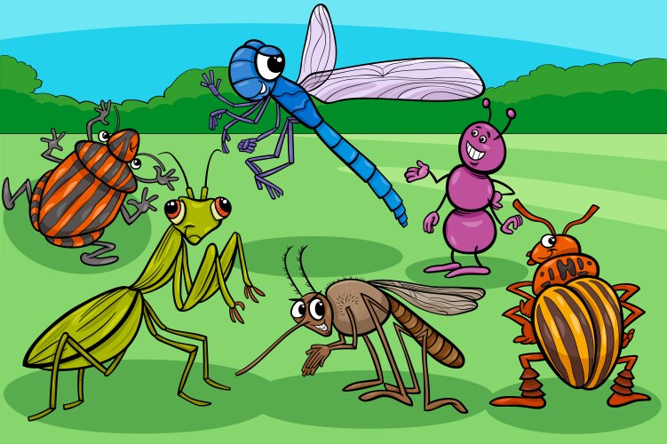 Potato beetle insect cartoon Royalty Free Vector Image